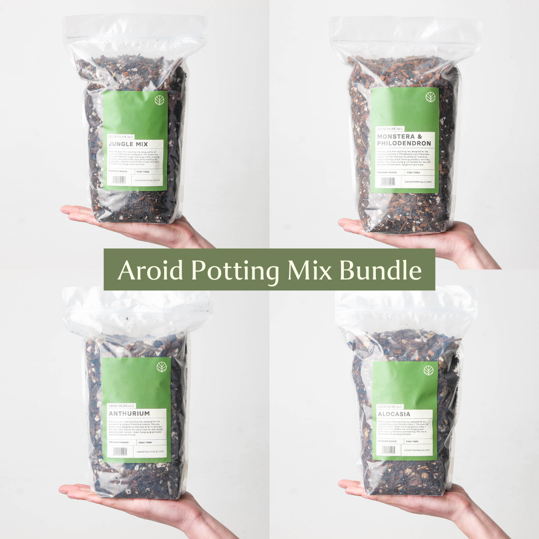 Aroid Potting Mix Bundle 8L | Substrate | GrowTropicals.com