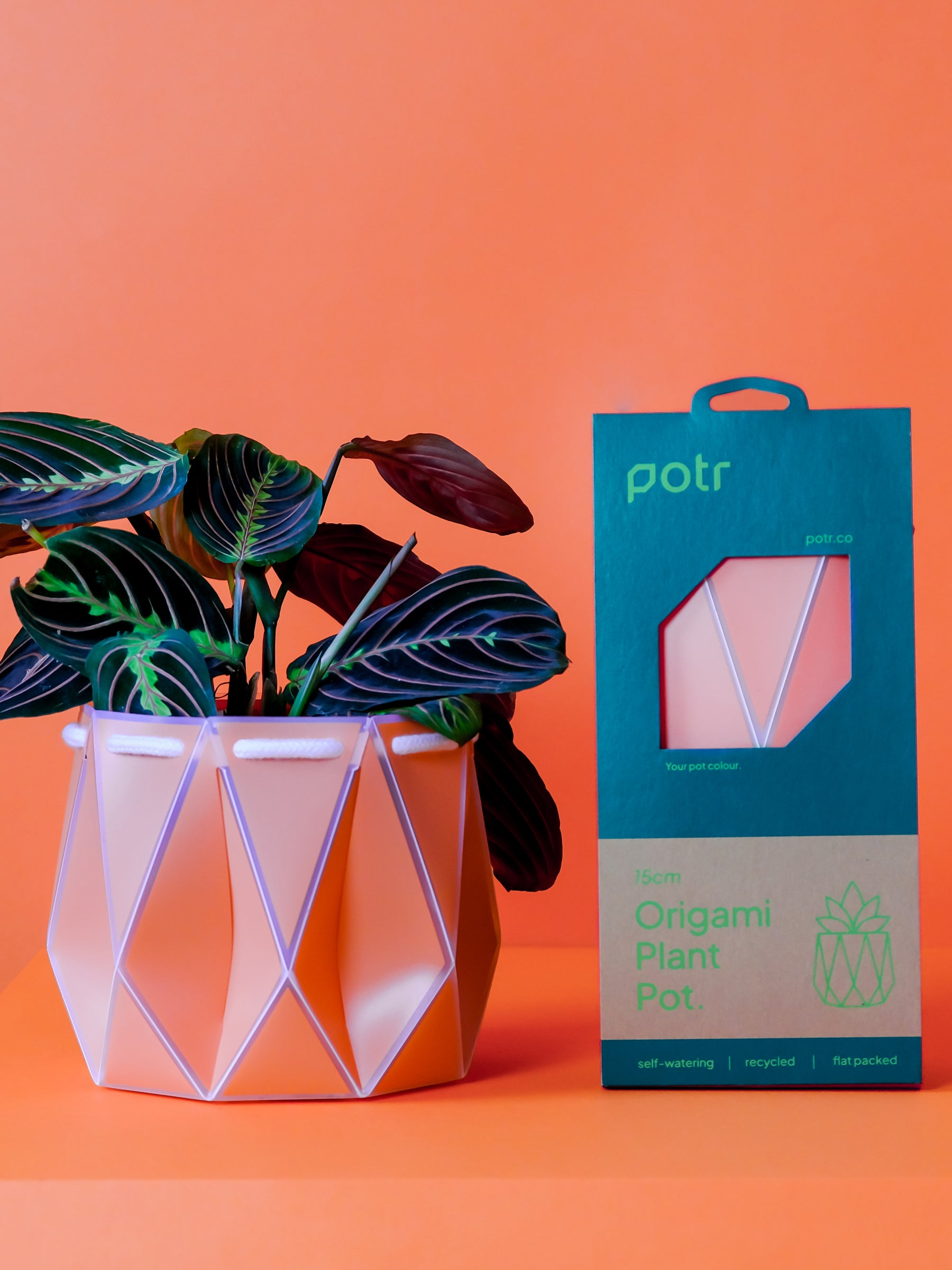 POTR Coral Self-Watering Pot | Pots & Planters | GrowTropicals.com
