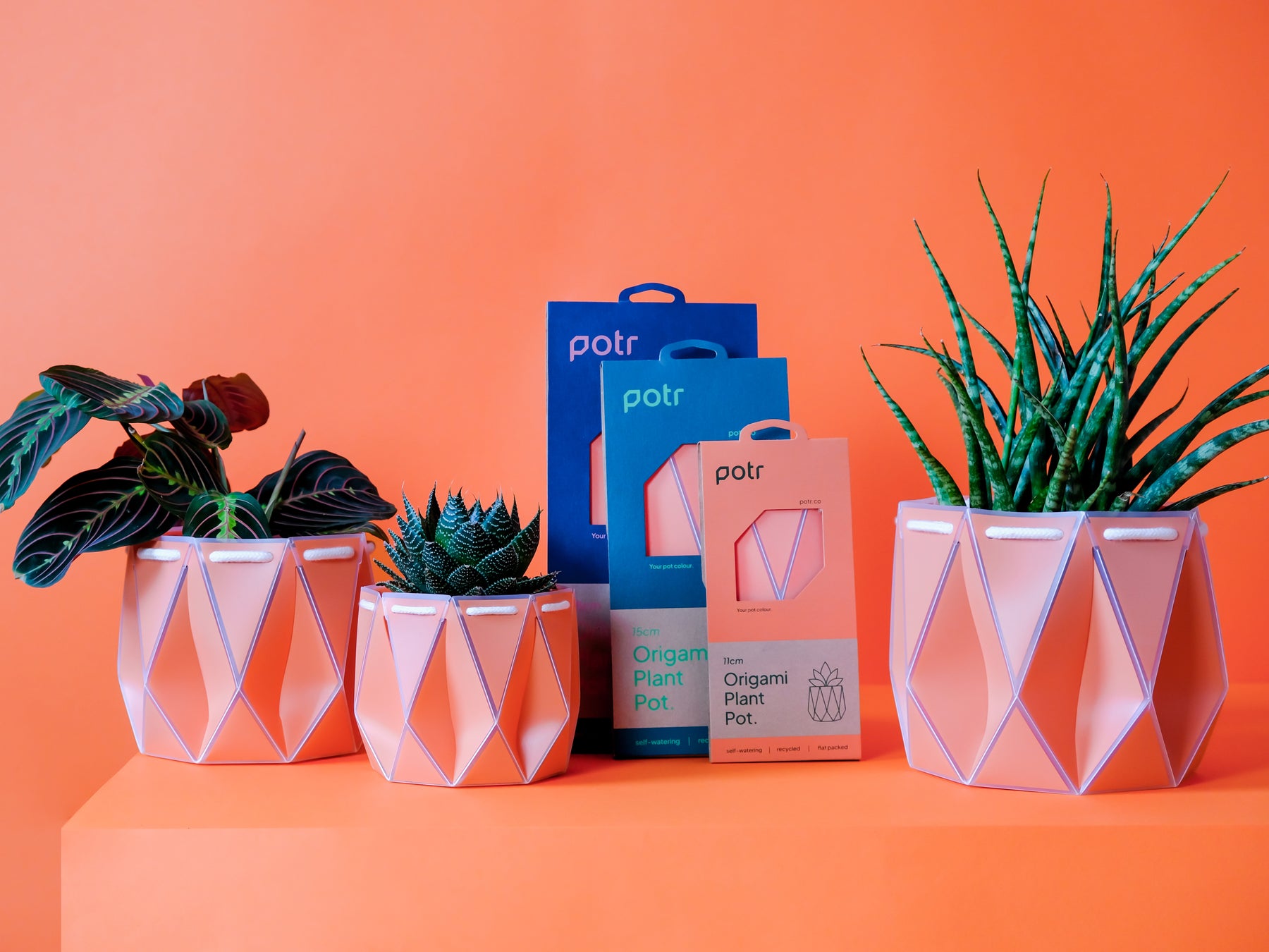 POTR Coral Self-Watering Pot | Pots & Planters | GrowTropicals.com