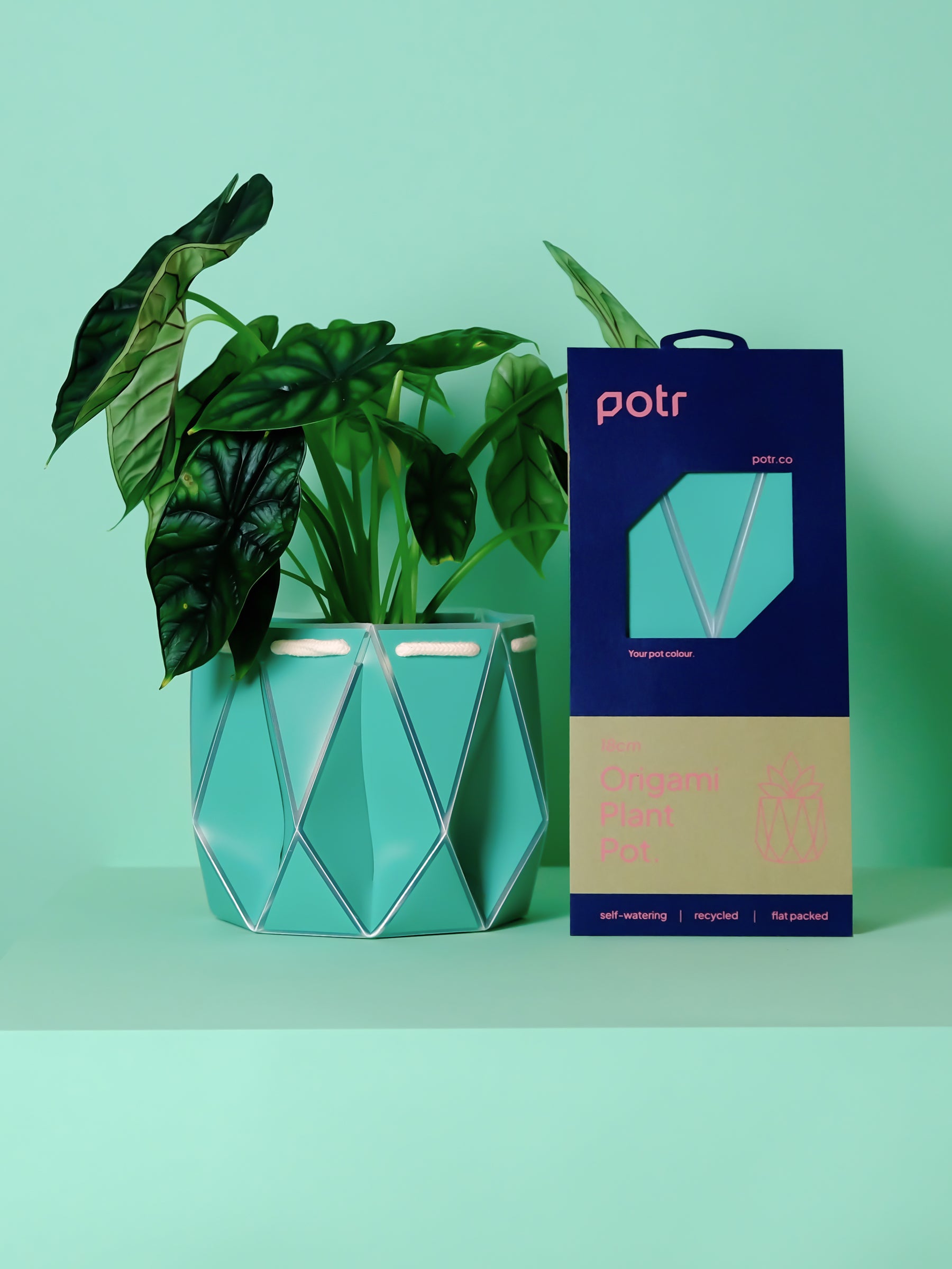 POTR Aqua Self-Watering Pot | Pots & Planters | GrowTropicals.com