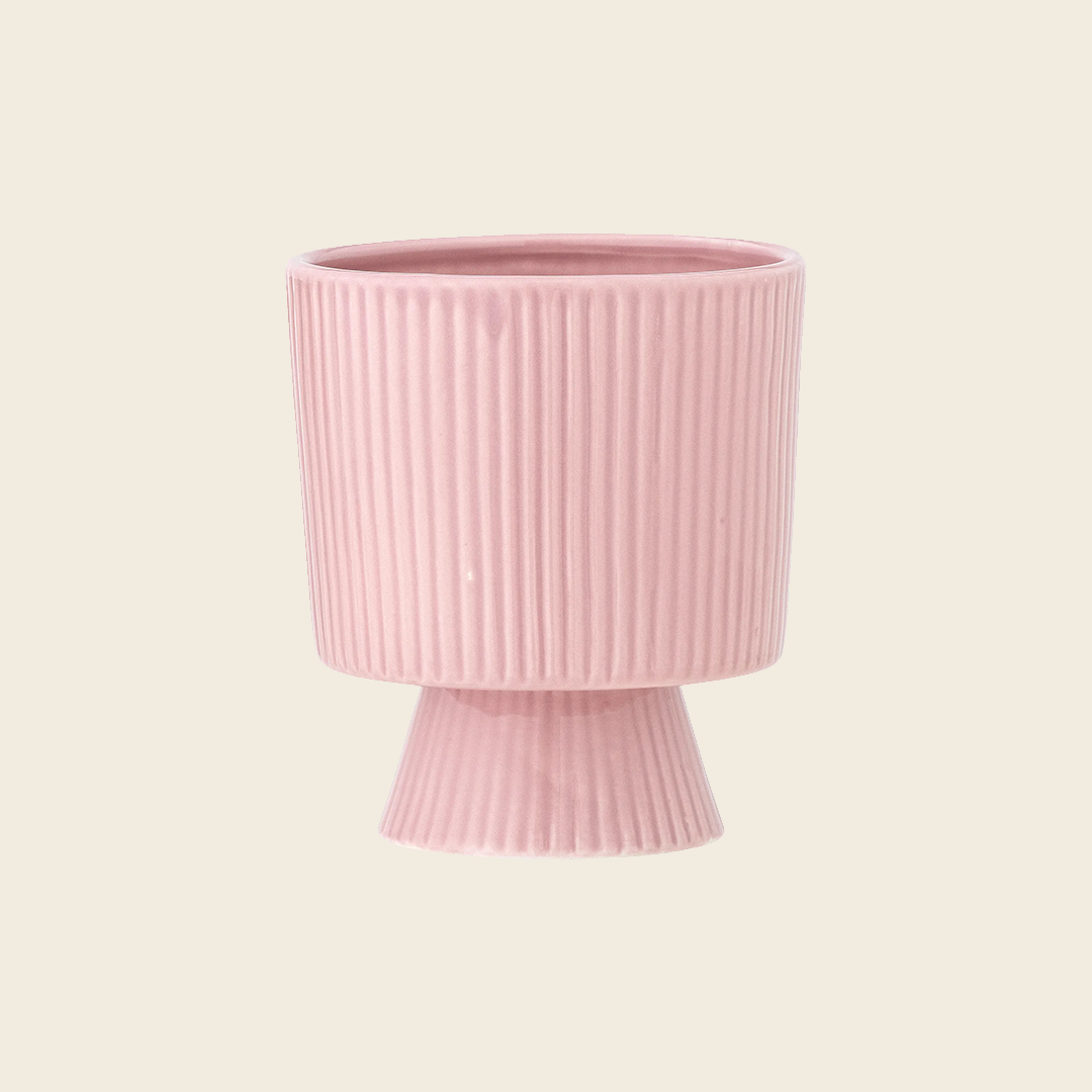 Ayleen Pot Rose | Pots & Planters | GrowTropicals.com