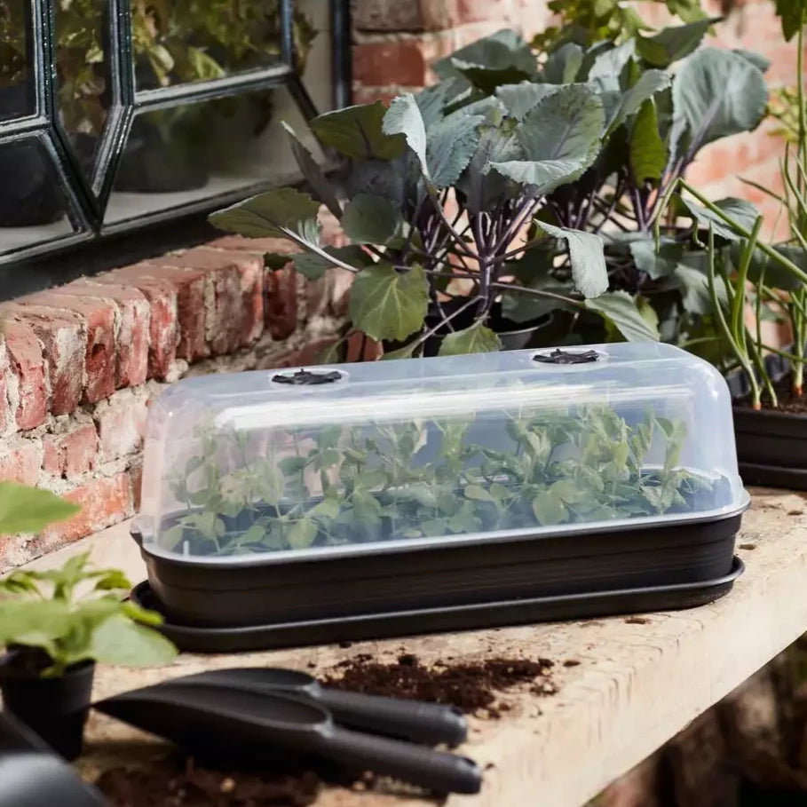 Elho Green Basics Grow Tray | Pots & Planters | GrowTropicals.com