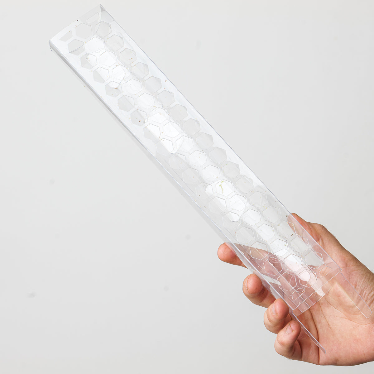 Transparent D-Shaped Moss Pole | Plant Support | GrowTropicals.com