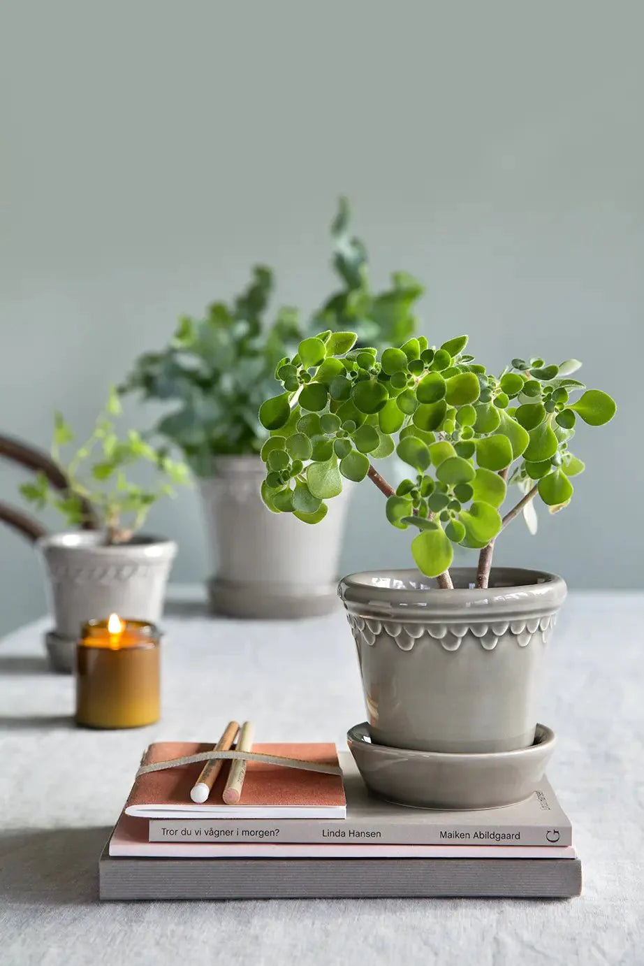 Bergs Potter Pearl Grey Glazed Copenhagen Pot & Saucer | Pots ...