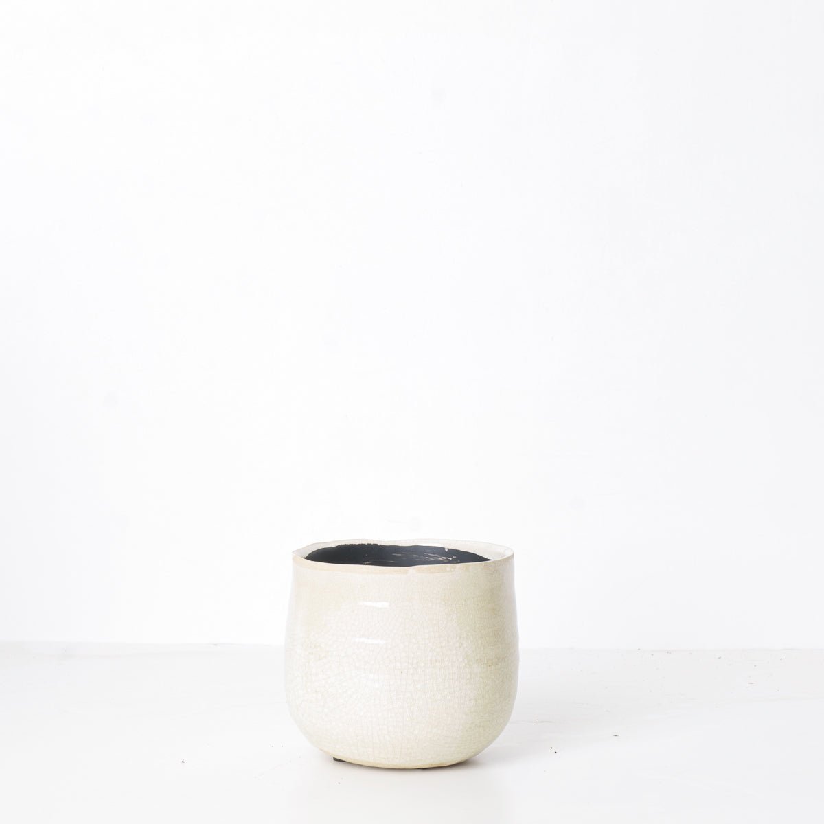 Como Ivory Plant Pot | Pots & Planters | GrowTropicals.com