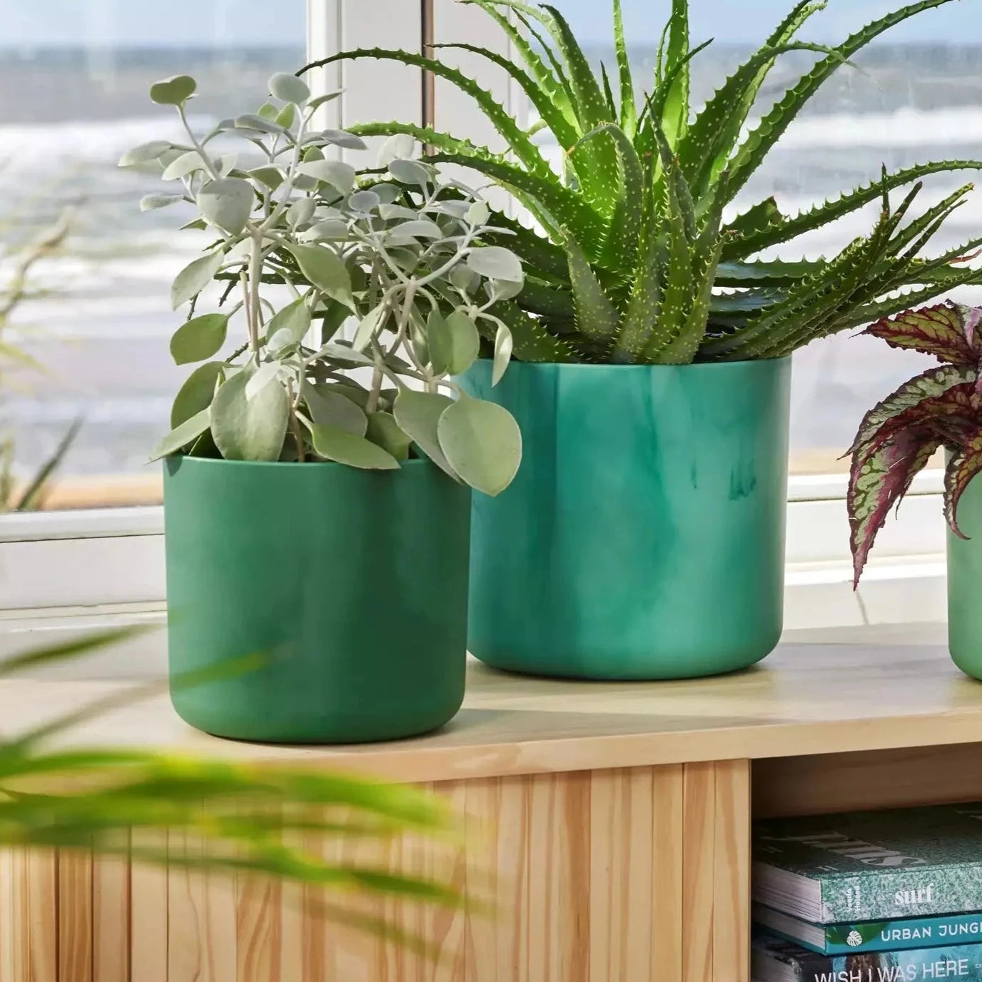 Elho Ocean Collection Pot | Pots & Planters | GrowTropicals.com